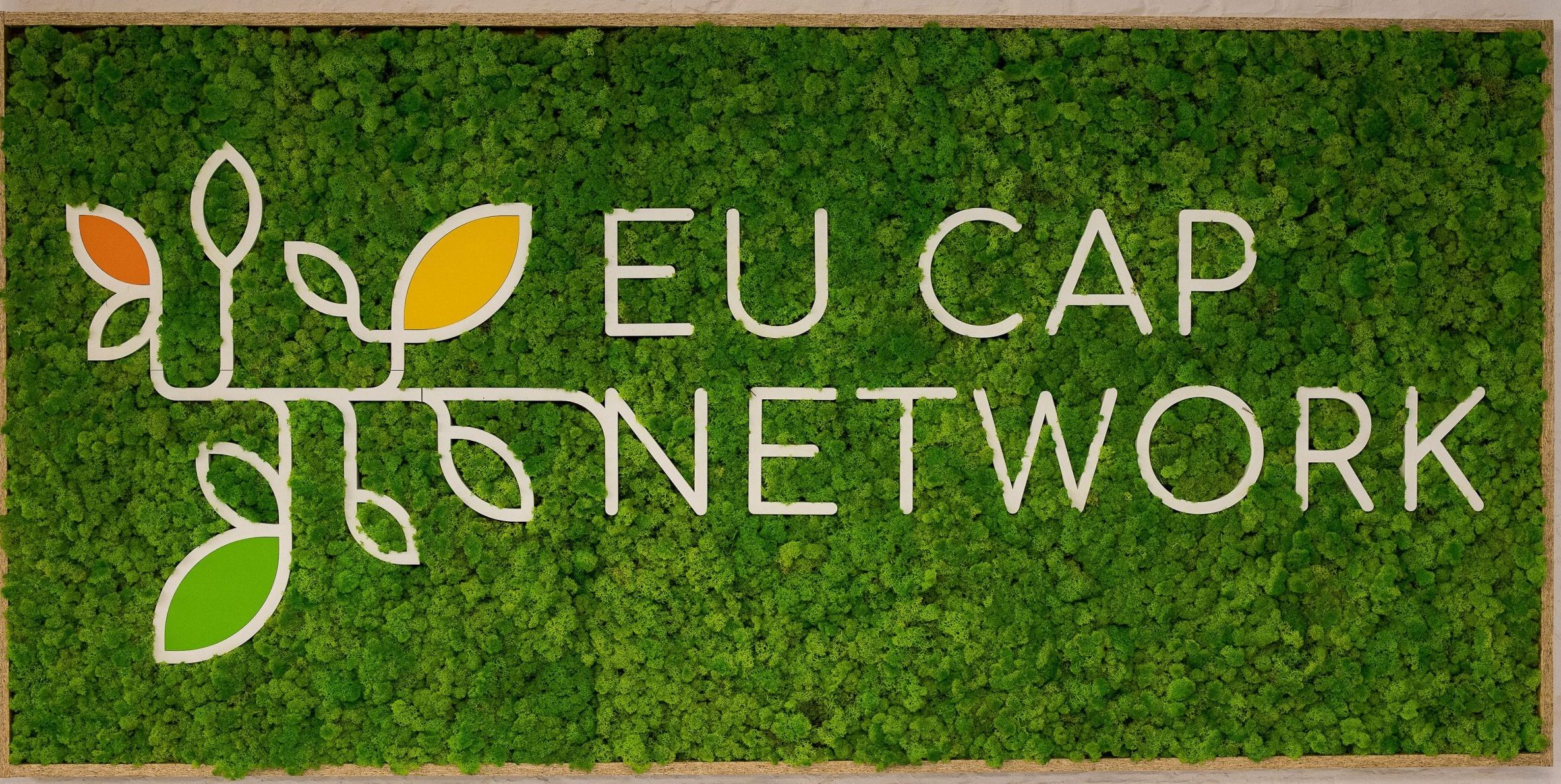NEW ON MOVING BLOG: The EU CAP Network, the platform where MOVING contributions and the new CAP ...
