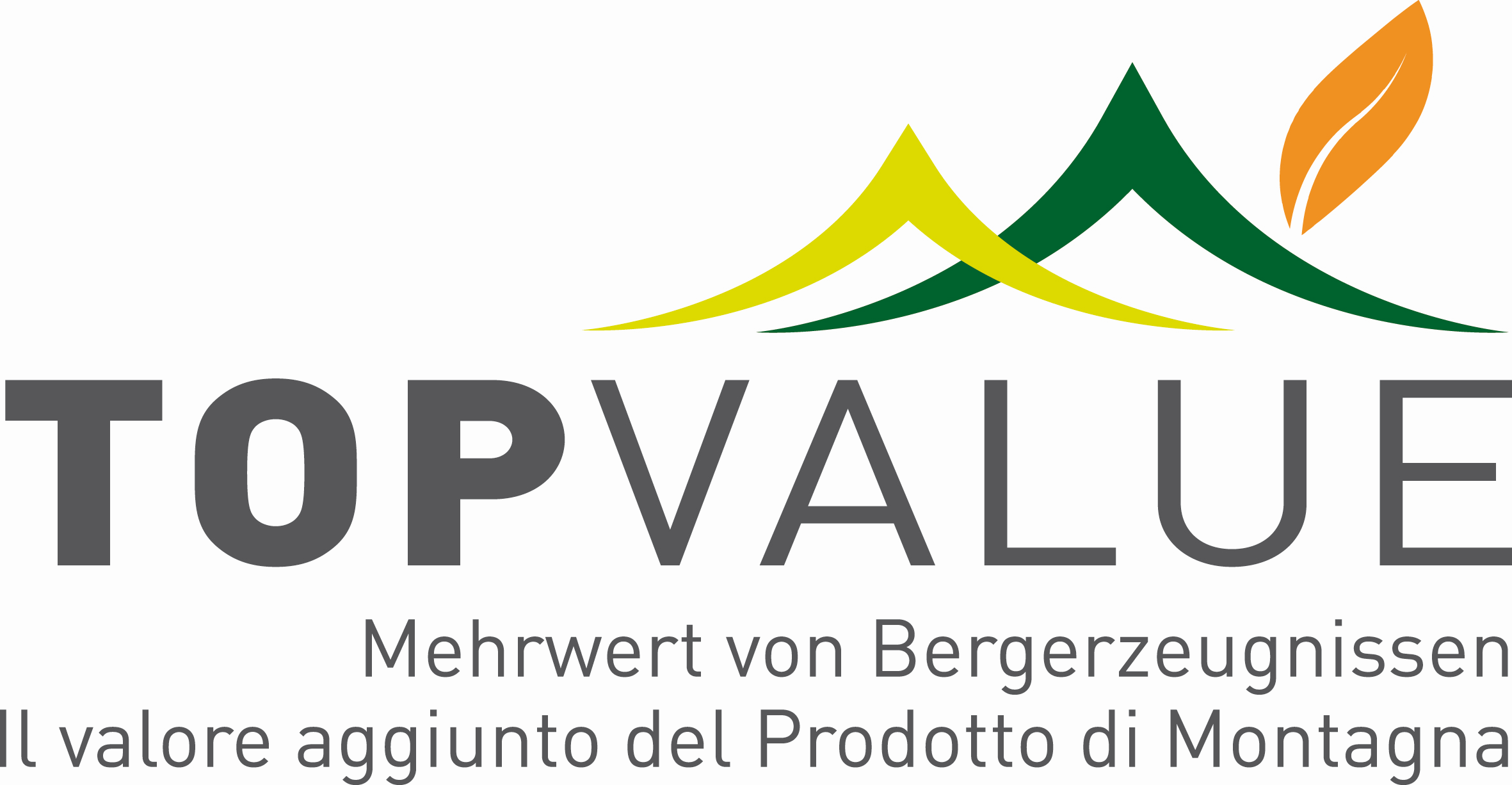 Topvalu Logo